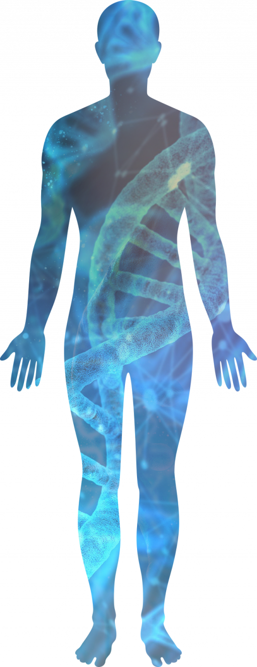 dnaPower & Jevitty | DEXA DNA Health Partnership